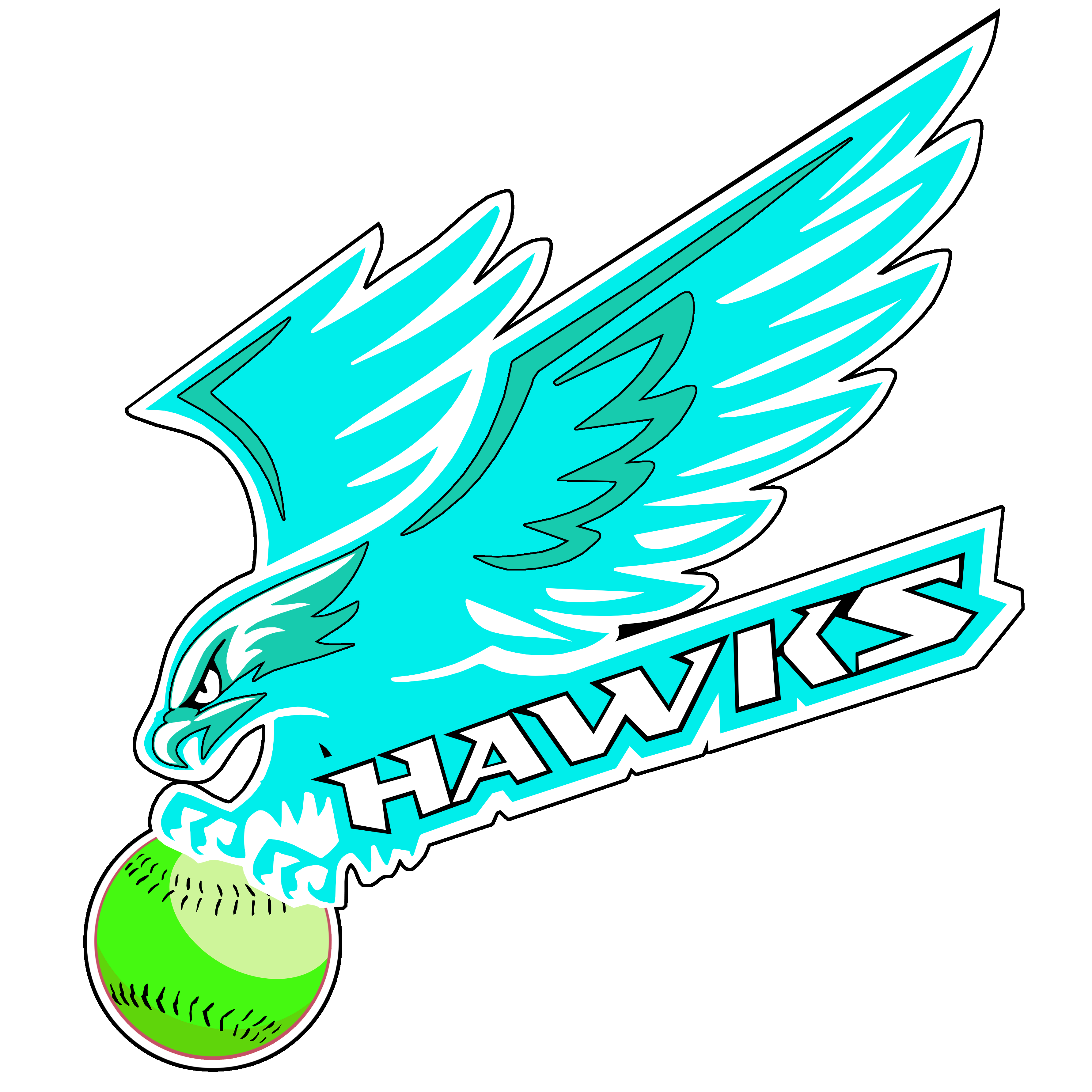 Hawks - swindonsoftball.com